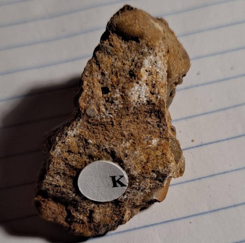 Solved Table 6: Sedimentary Rock Identification Rock Sample | Chegg.com