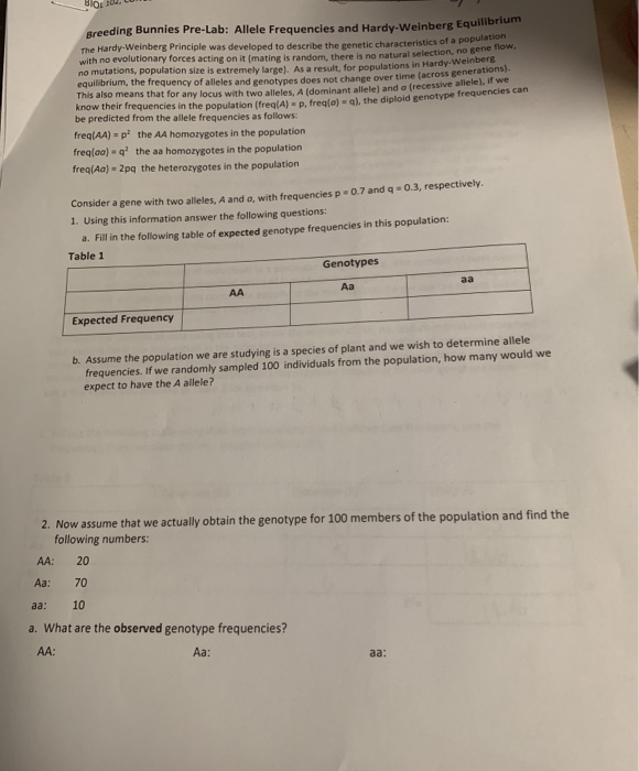 Solved Bloo.com Breeding Bunnies Pre-Lab: Allele Frequencies | Chegg.com