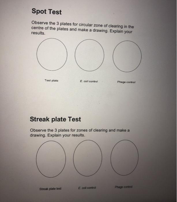 Spot Test Observe the 3 plates for circular zone of | Chegg.com