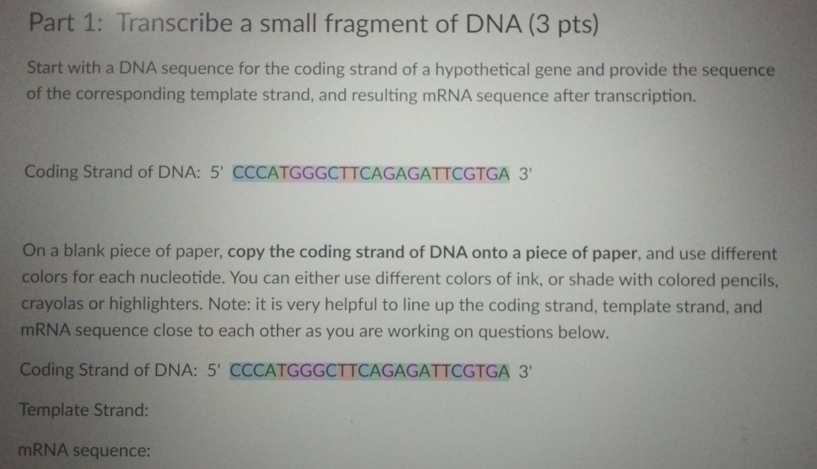 Solved Part 1: Transcribe a small fragment of DNA (3 pts) | Chegg.com