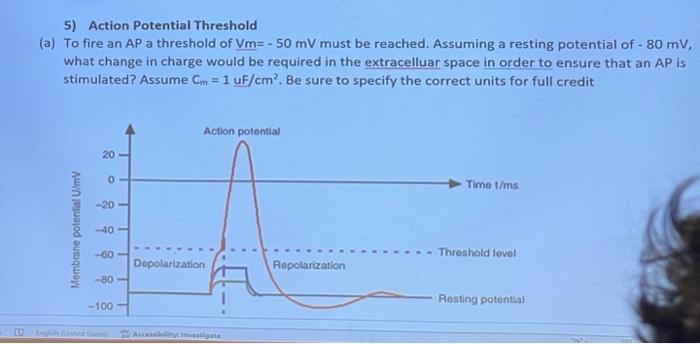 Solved 5) Action Potential Threshold (a) To fire an AP a | Chegg.com