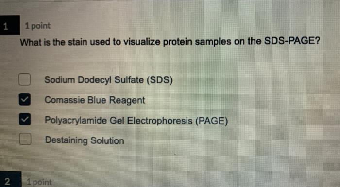 Solved 1 1 point What is the stain used to visualize protein | Chegg.com
