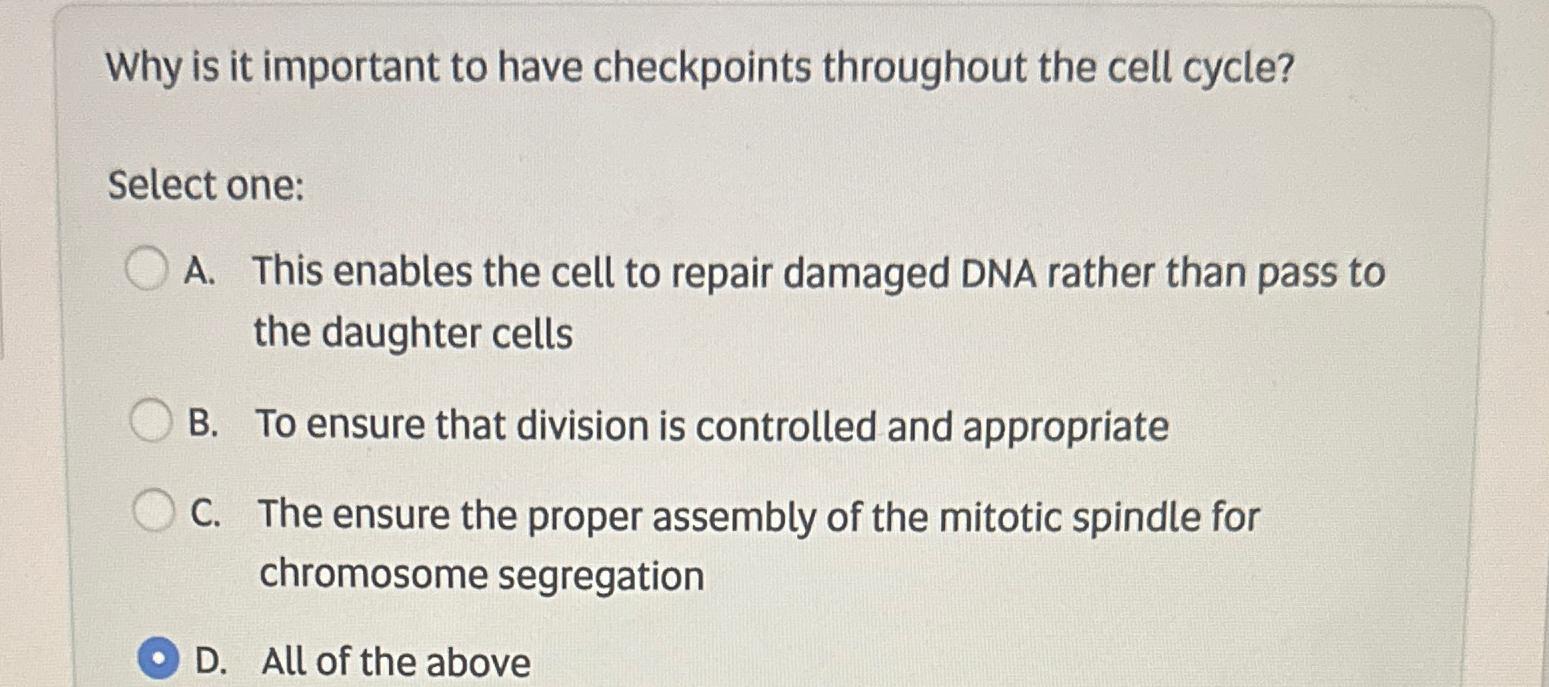 Solved Why is it important to have checkpoints throughout | Chegg.com