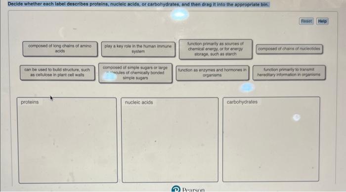 Solved Decide whether each label describes proteins, nucleic | Chegg.com