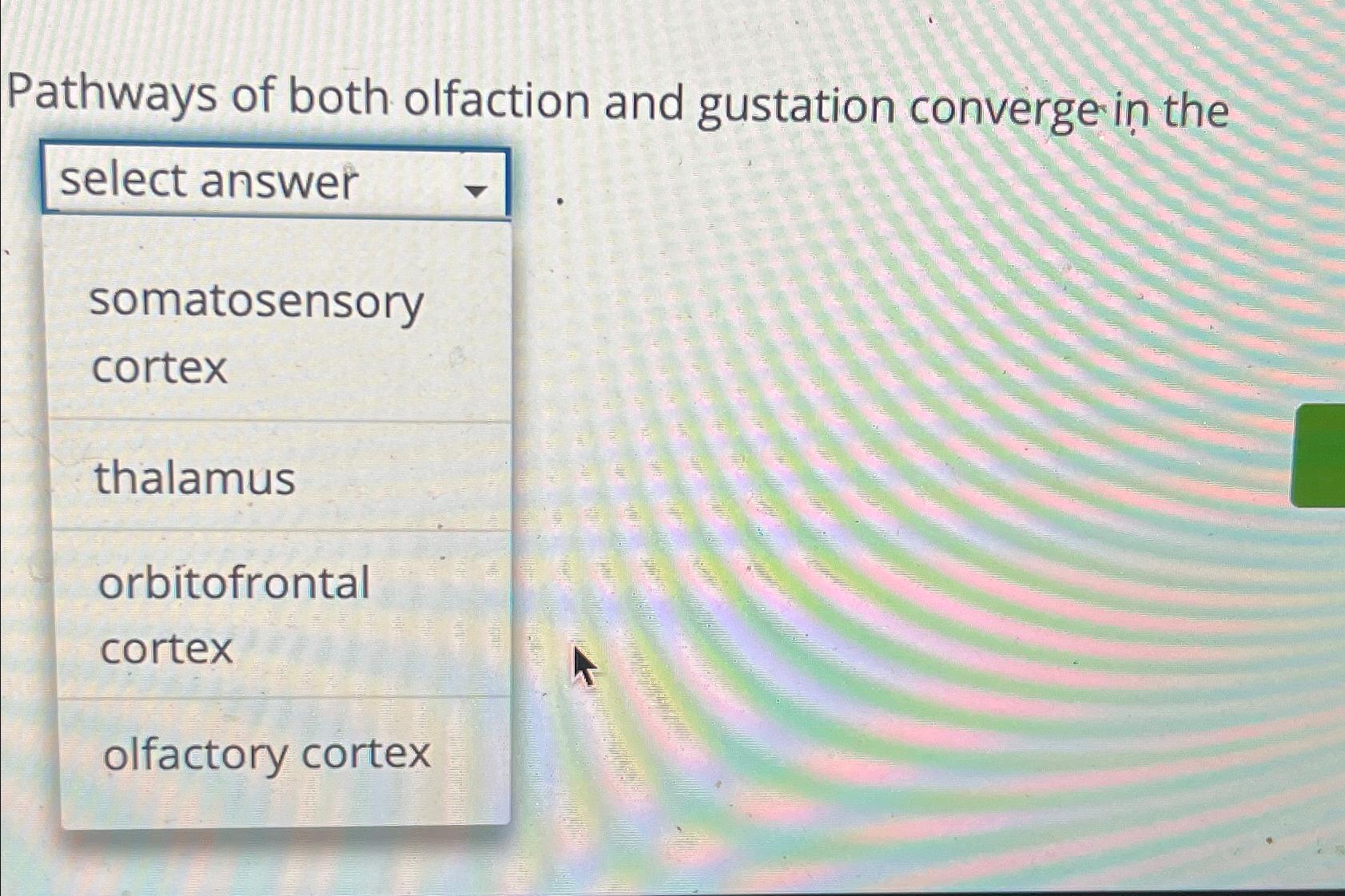 Solved Pathways of both olfaction and gustation converge in | Chegg.com