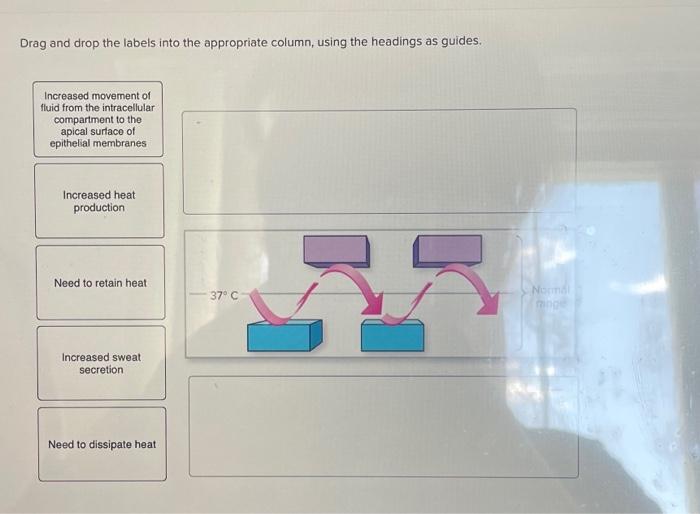 Solved Drag and drop the labels into the appropriate column, | Chegg.com