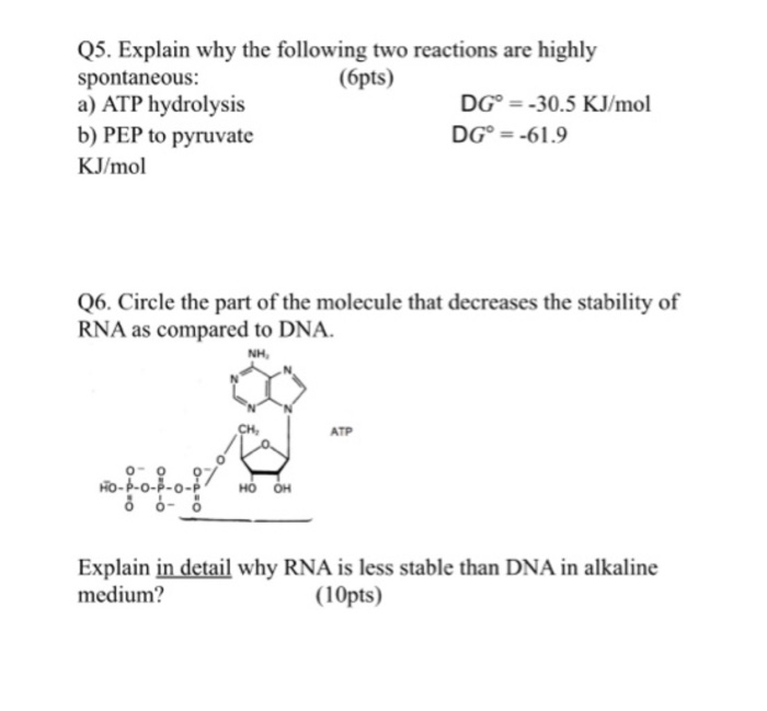 Solved Q5. Explain why the following two reactions are | Chegg.com