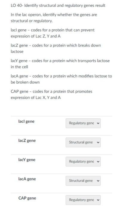 Solved LO 40- Identify structural and regulatory genes | Chegg.com