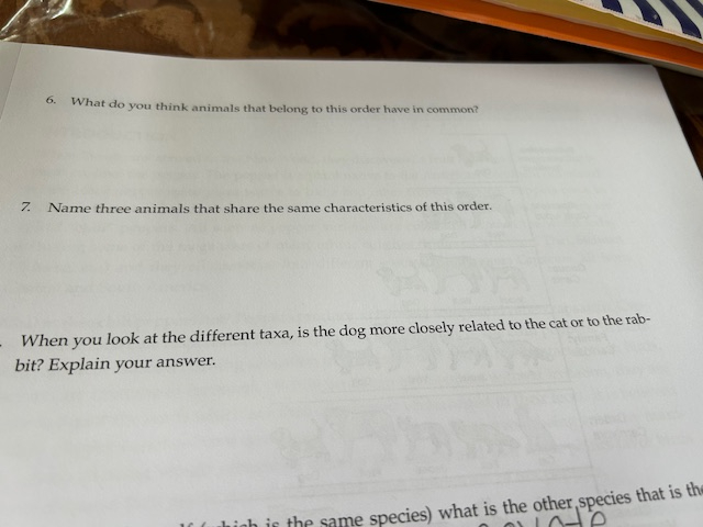 Solved What do you think animals that belong to this order | Chegg.com