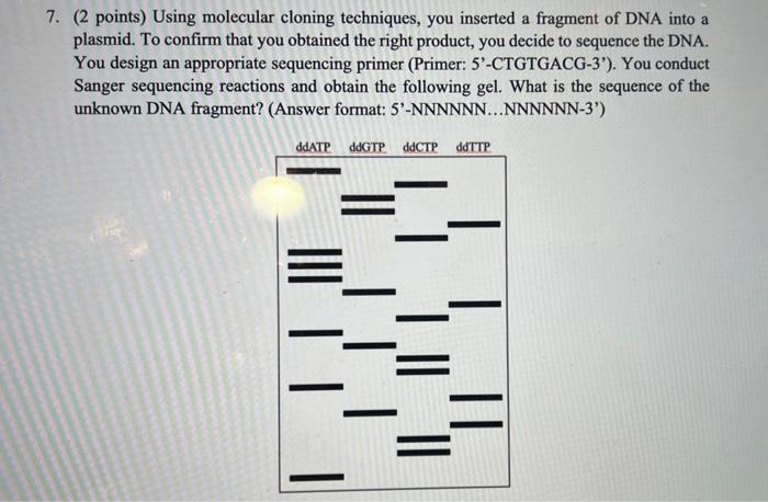 Solved 7. (2 points) Using molecular cloning techniques, you | Chegg.com