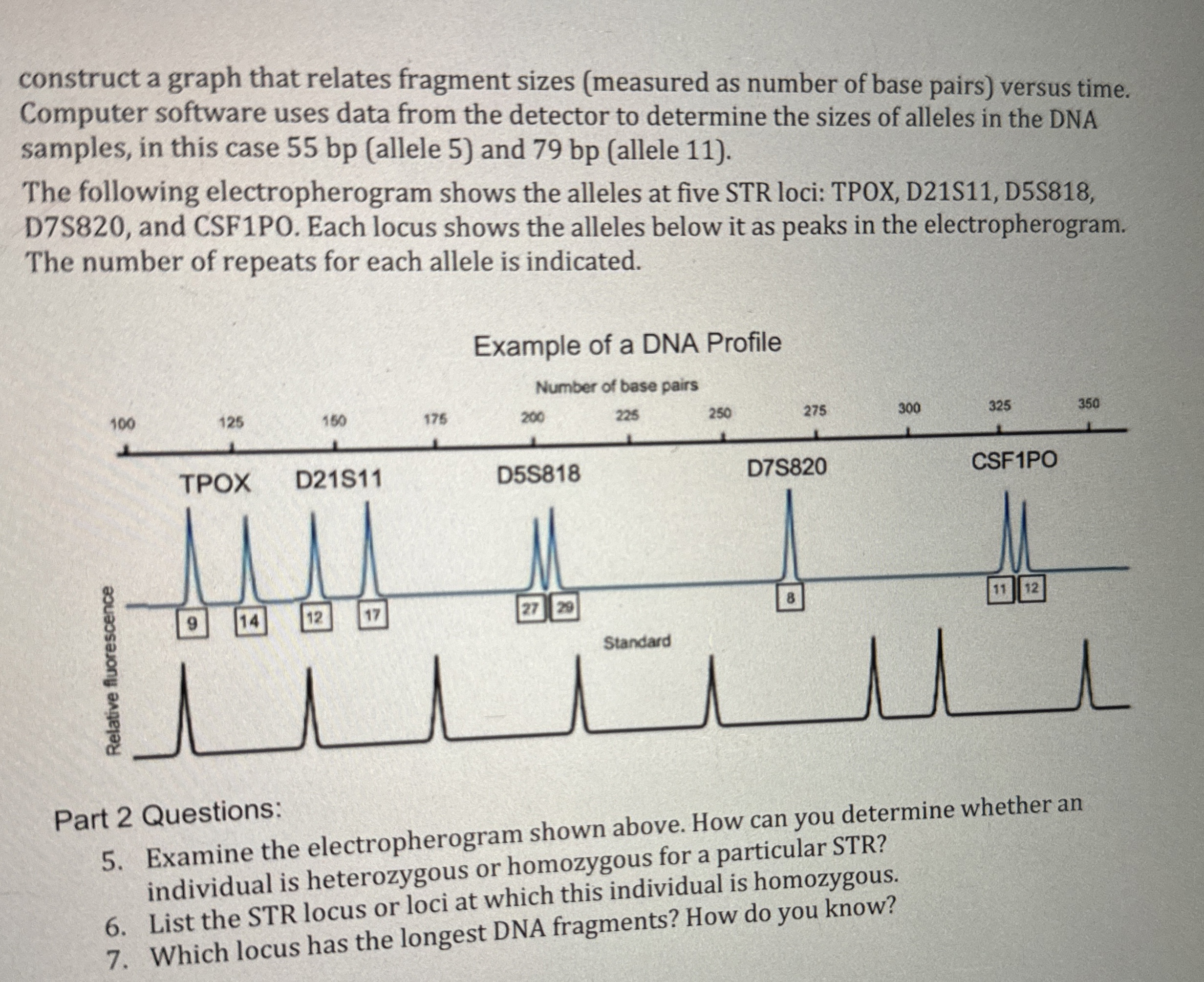 Solved construct a graph that relates fragment sizes | Chegg.com