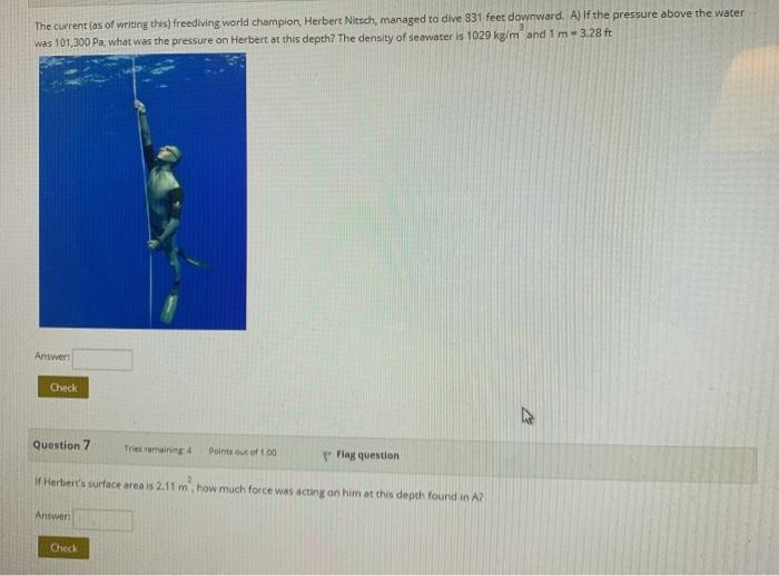 Solved The current (as of writing this freediving world | Chegg.com
