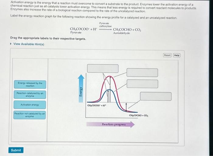 Activation energy is the energy that a reaction must | Chegg.com