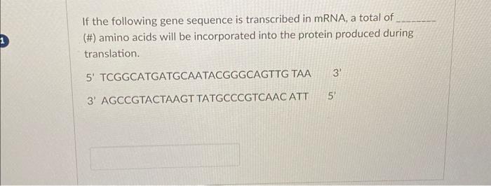 Solved 1 If the following gene sequence is transcribed in | Chegg.com