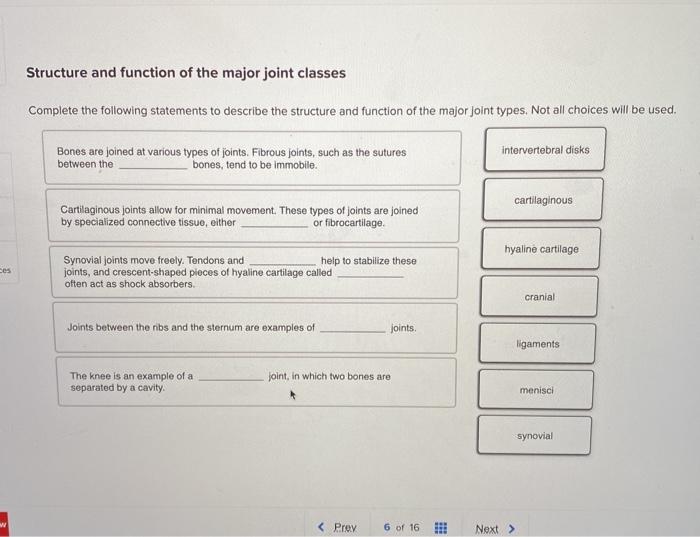 Solved Structure and function of the major joint classes | Chegg.com