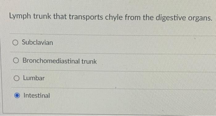 Solved Lymph trunk that transports chyle from the digestive | Chegg.com