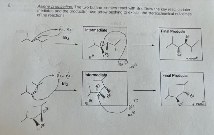 Solved 2. 2. Alkene bromination. The two butane isomers | Chegg.com