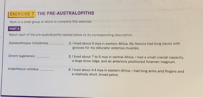 Solved EXERCISE 7 THE PRE-AUSTRALOPITHS Work in a small | Chegg.com