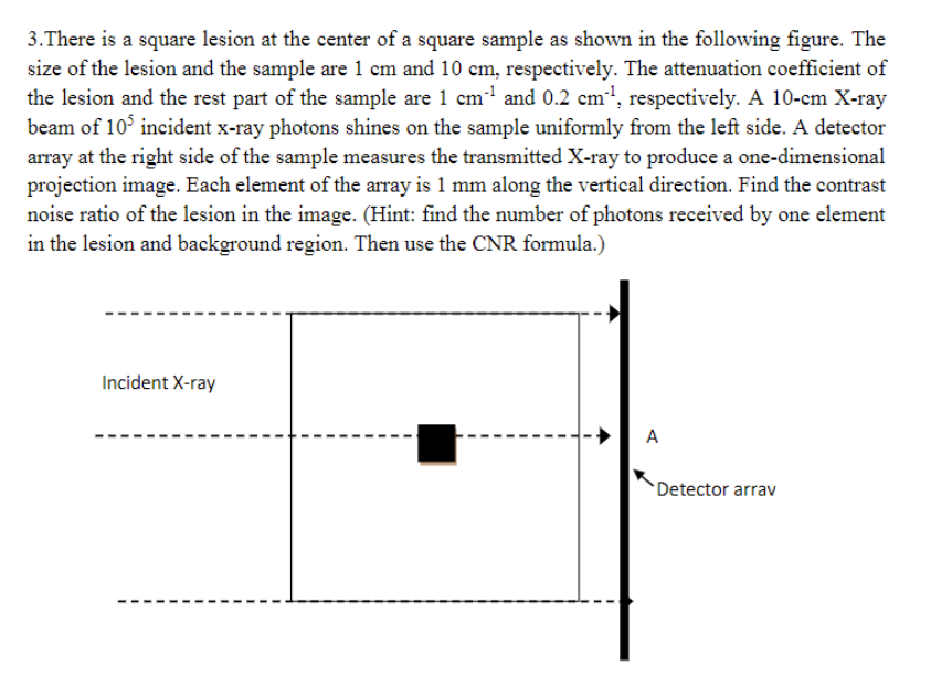 Solved 3.There is a square lesion at the center of a square | Chegg.com