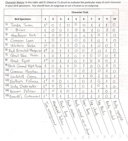 Character Matrix: In this table add 0's (false) or | Chegg.com