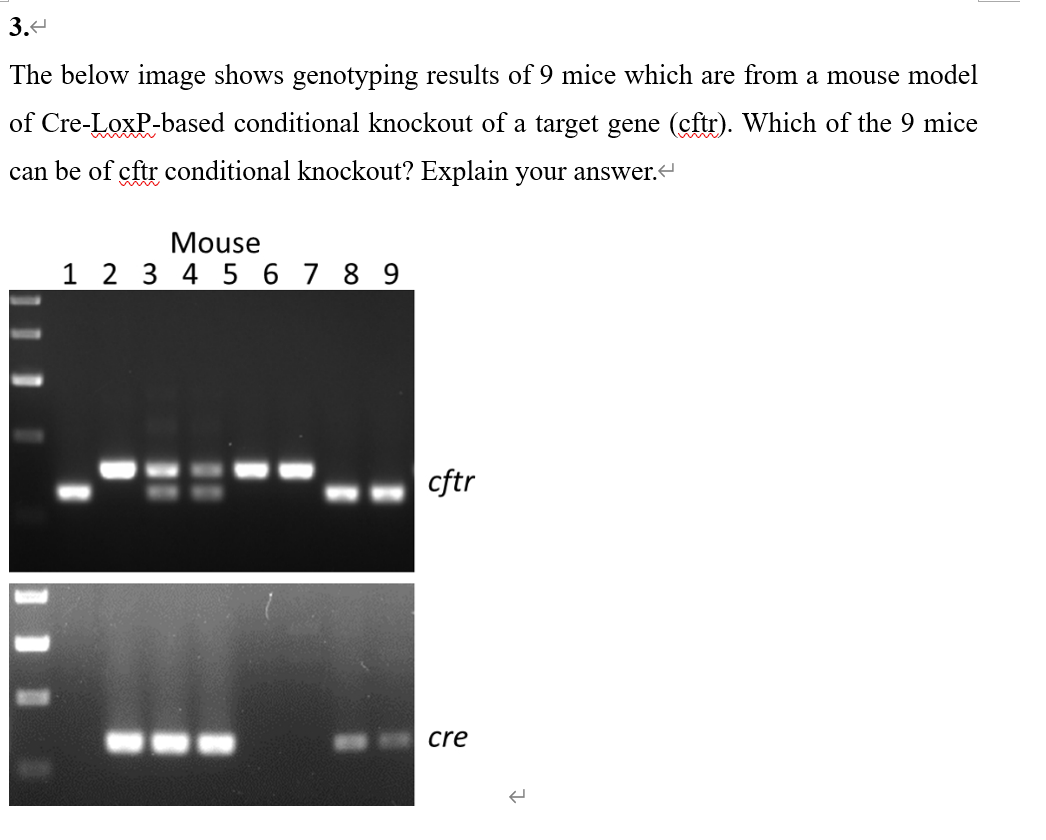 Solved The below image shows genotyping results of 9 ﻿mice | Chegg.com