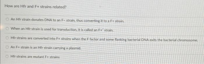Solved How are Hfr and F+ strains related? An Hfr strain | Chegg.com