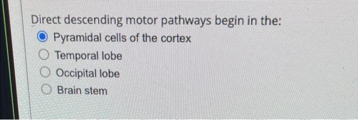 Solved Direct descending motor pathways begin in the: | Chegg.com