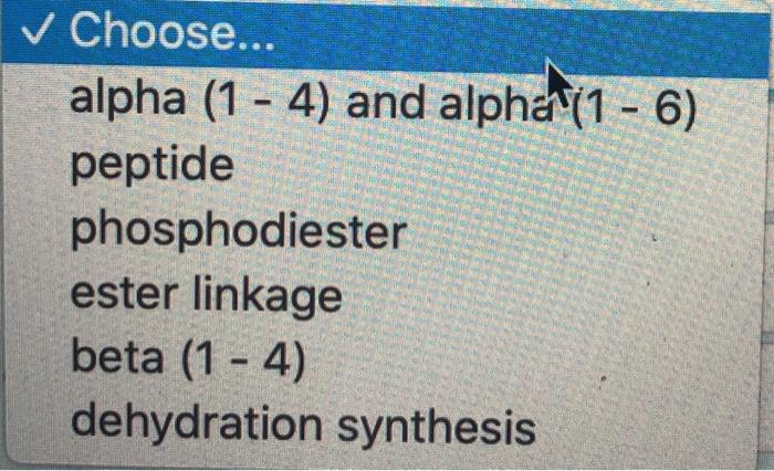 Solved Choose... alpha (1 - 4) and alpha (1 - 6) peptide | Chegg.com