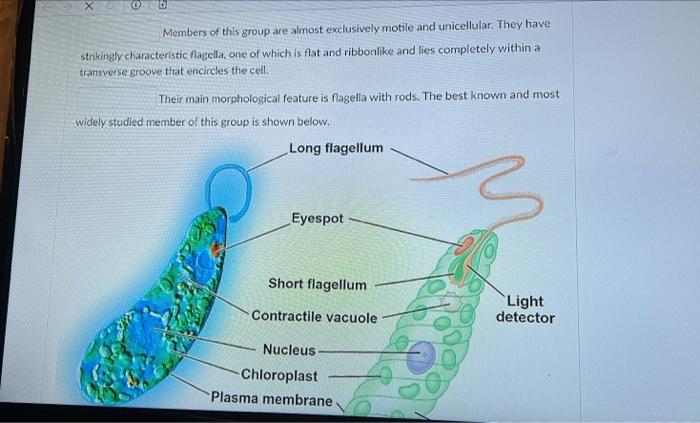 Solved For each of the descriptions below, type in the blank | Chegg.com