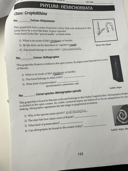 Solved 2) Its life style can be described as: vagrant or | Chegg.com