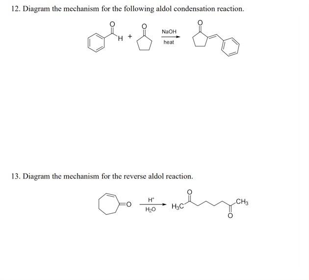 Solved 12. Diagram the mechanism for the following aldol | Chegg.com