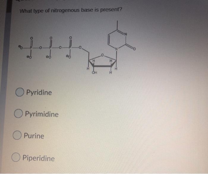 Solved What type of nitrogenous base is present? 11 Pyridine | Chegg.com