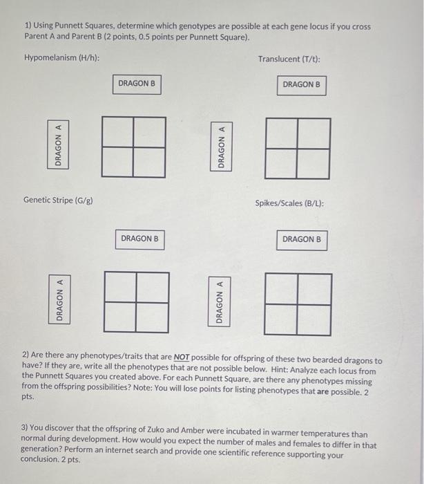 Solved Bearded Dragons can have multiple unique traits and | Chegg.com