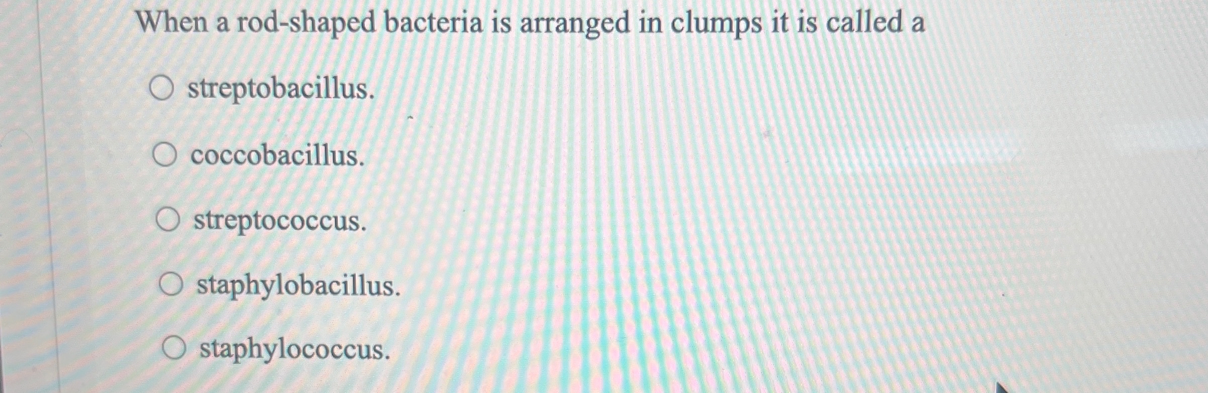 Solved When a rod-shaped bacteria is arranged in clumps it | Chegg.com