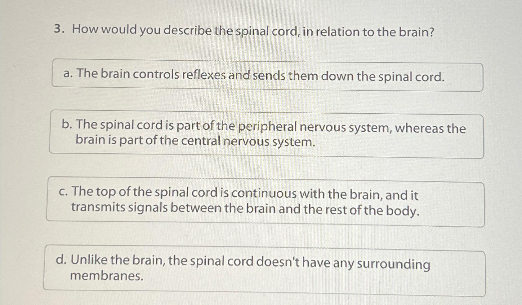 Solved How would you describe the spinal cord, in relation | Chegg.com