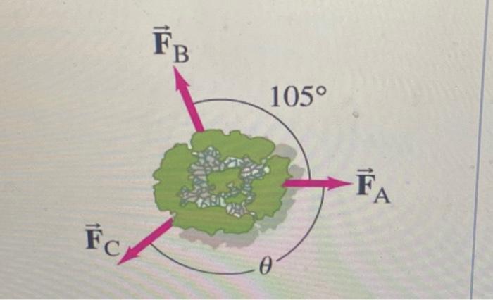 Solved Three forces are applied to a tree sapling, as shown | Chegg.com