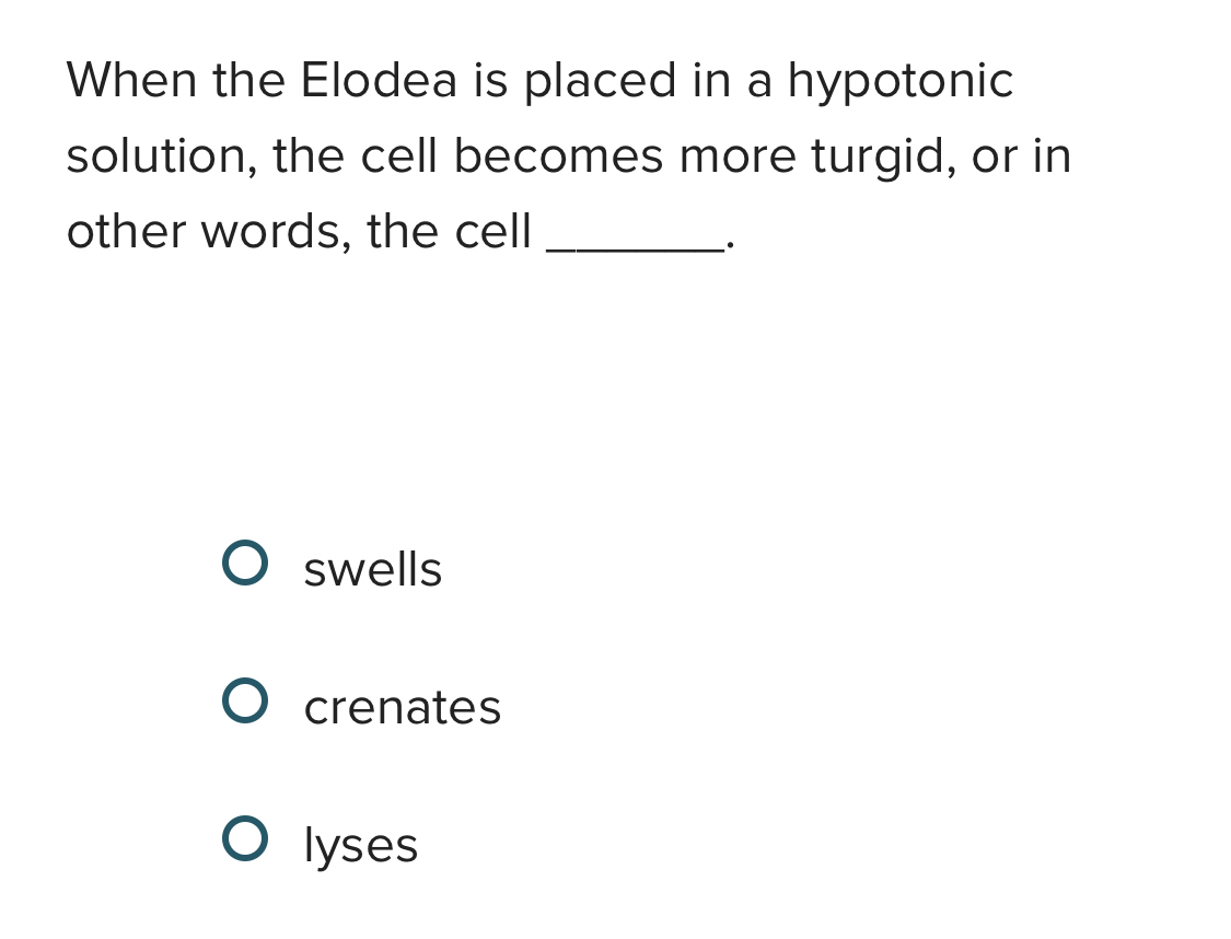 Solved When The Elodea Is Placed In A Hypotonic Solution 8103