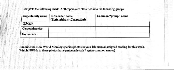 Complete the following chart: Anthropoids are | Chegg.com