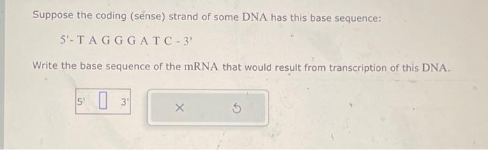 Solved Suppose the template (antisense) strand of some DNA | Chegg.com