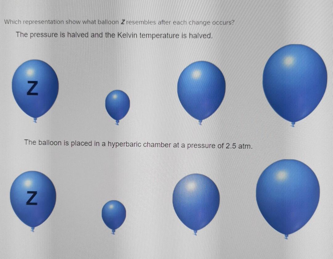 Solved Which representation show what balloon Z resembles | Chegg.com