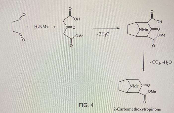 Solved Trying to propose my own synthesis for | Chegg.com
