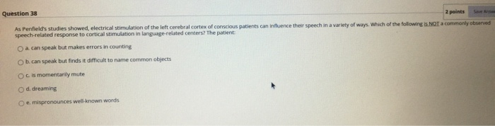 Solved Question 38 2 points As Penfield's studies showed, | Chegg.com