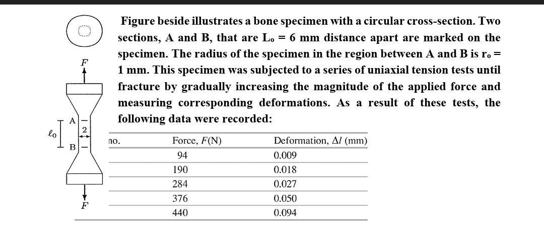 Solved Figure beside illustrates a bone specimen with a | Chegg.com