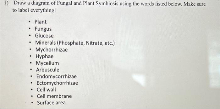1) Draw a diagram of Fungal and Plant Symbiosis using | Chegg.com