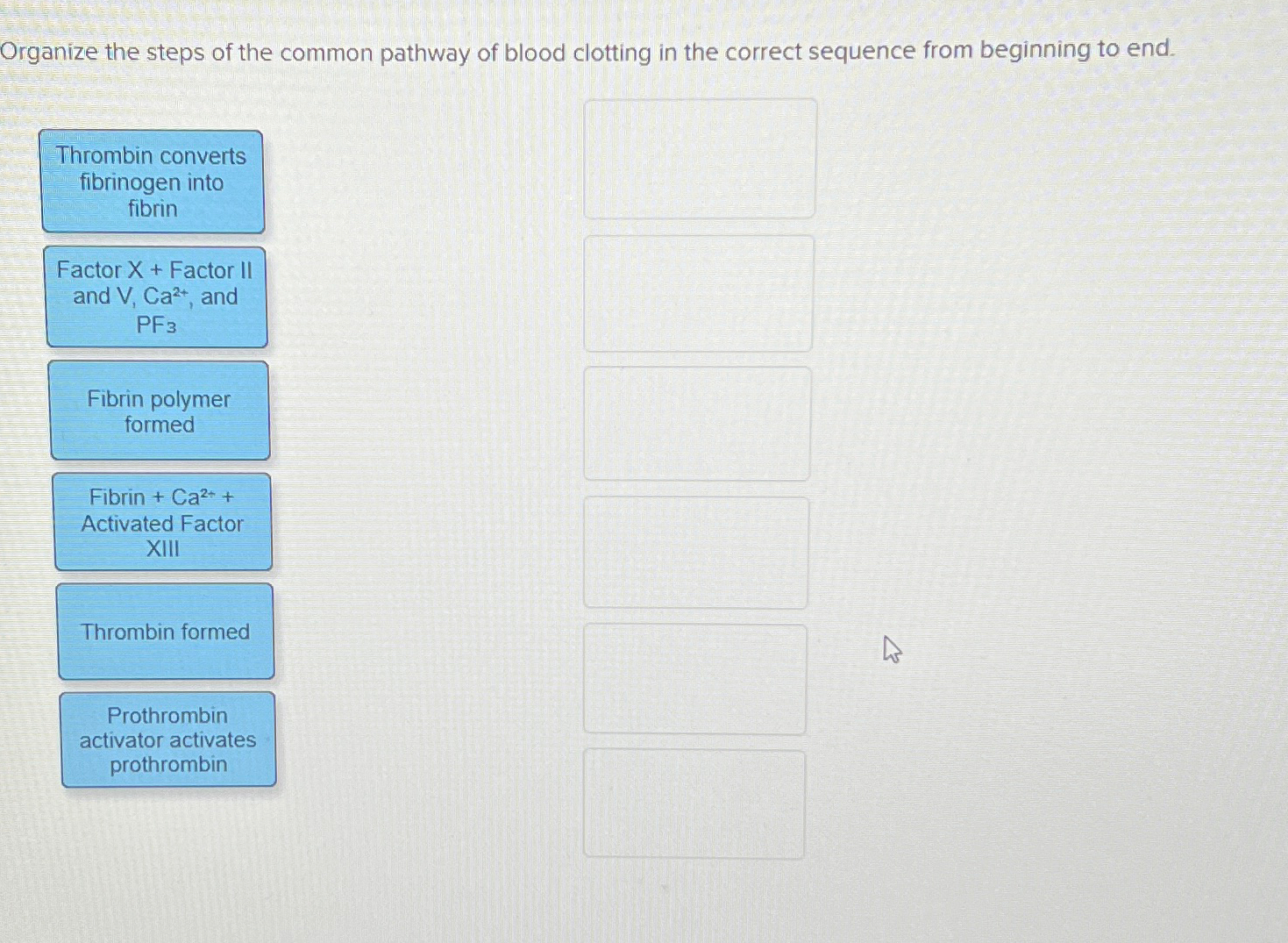 Solved Organize the steps of the common pathway of blood | Chegg.com