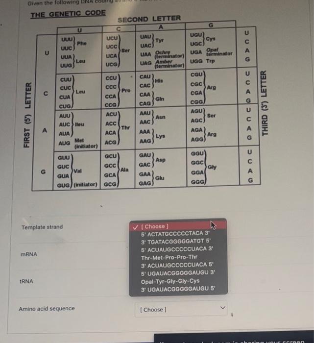 Solved Given the following DNA THE GENETIC CODE FIRST (5) | Chegg.com