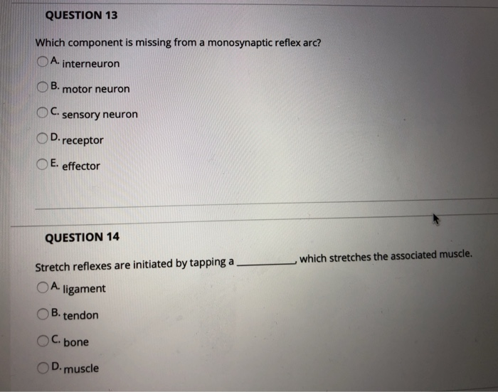 Solved which component is missing from a monosynaptic reflex | Chegg.com