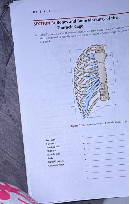 Solved 102 | Lab 7 A SECTION 5: Bones and Bone Markings of | Chegg.com