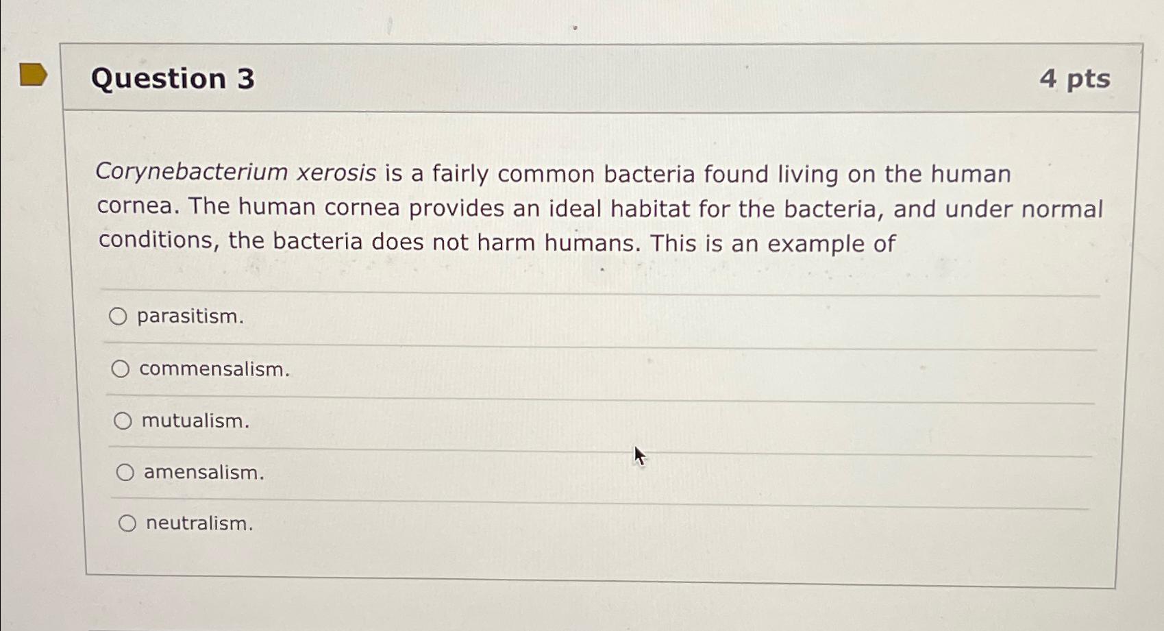 Solved Question 34 ﻿ptsCorynebacterium xerosis is a fairly | Chegg.com
