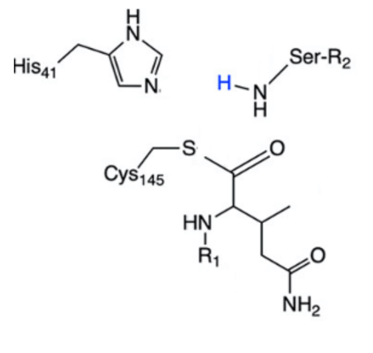 Solved Using this diagram, annotate the entire region of the | Chegg.com